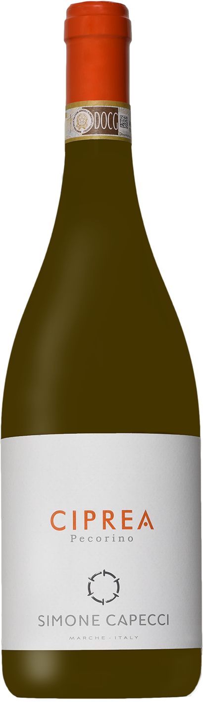 Ciprea Pecorino Offida bianco DOCG 2024, 75 cl - Weisswein | Online kaufen