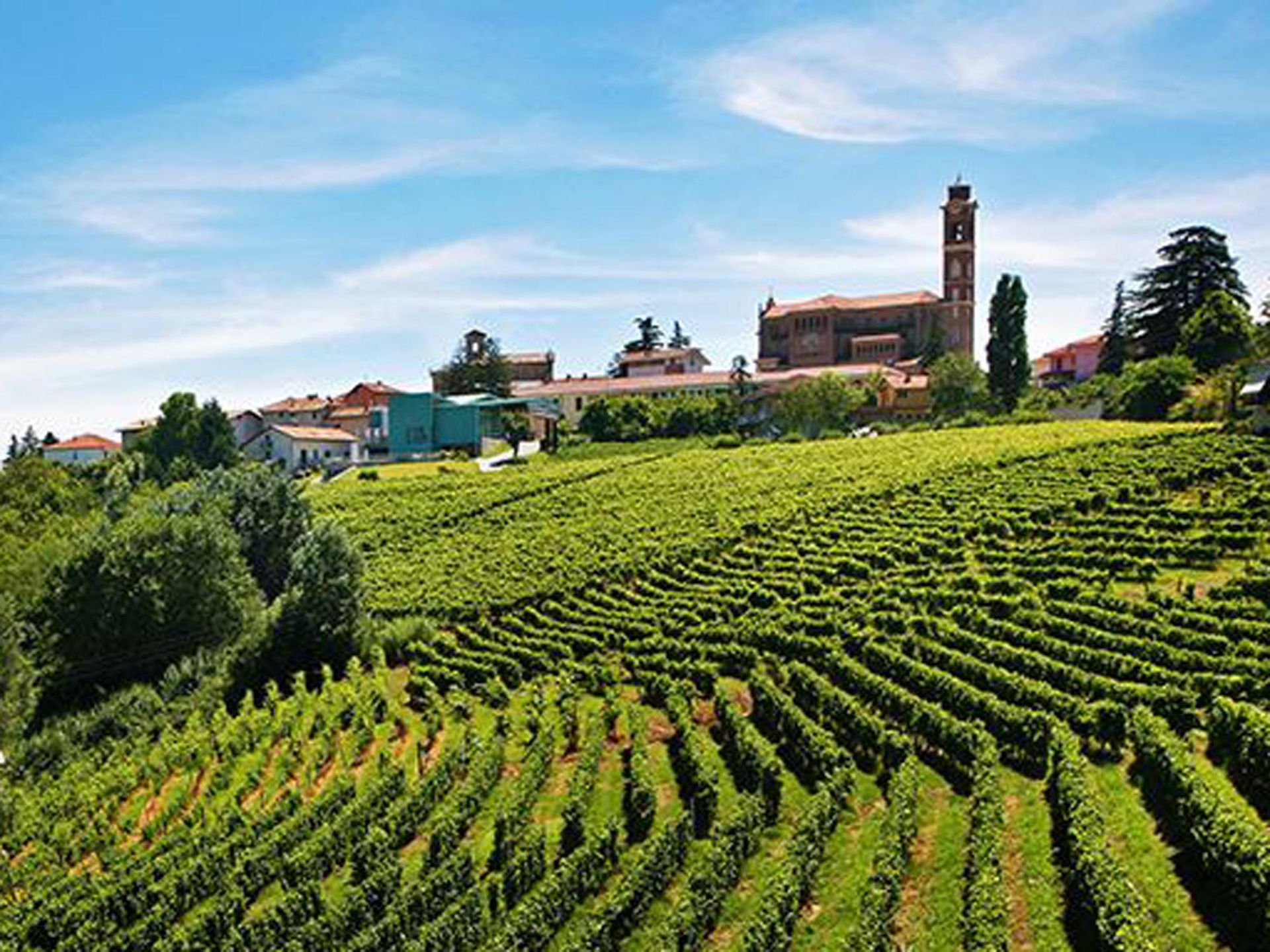 Moscato d'Asti DOCG 2025, 75 cl - Schaumwein | Online kaufen
